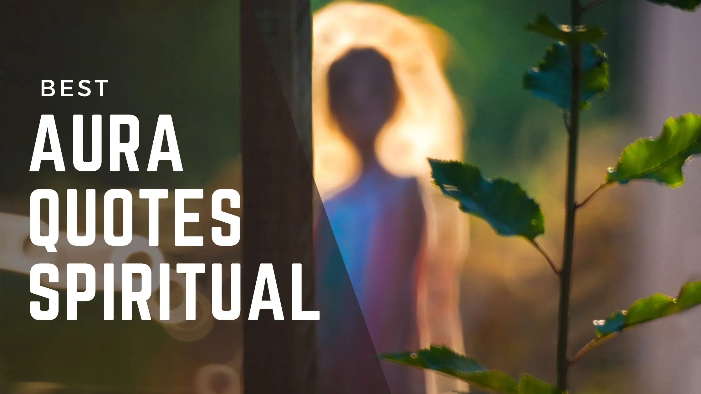 Spiritual Aura Quotes for Your Soul